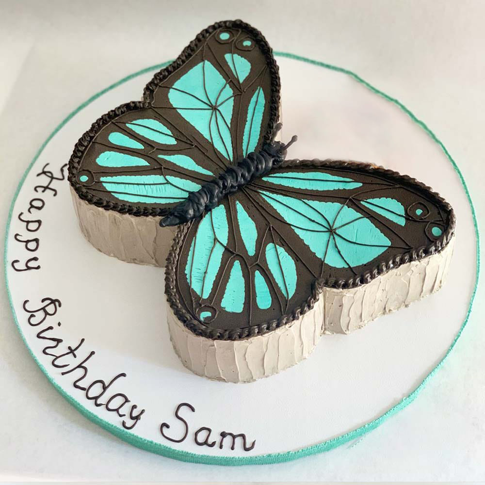 Buy Blue Butterfly Cream Cake-Blue Butterfly Cream Cake